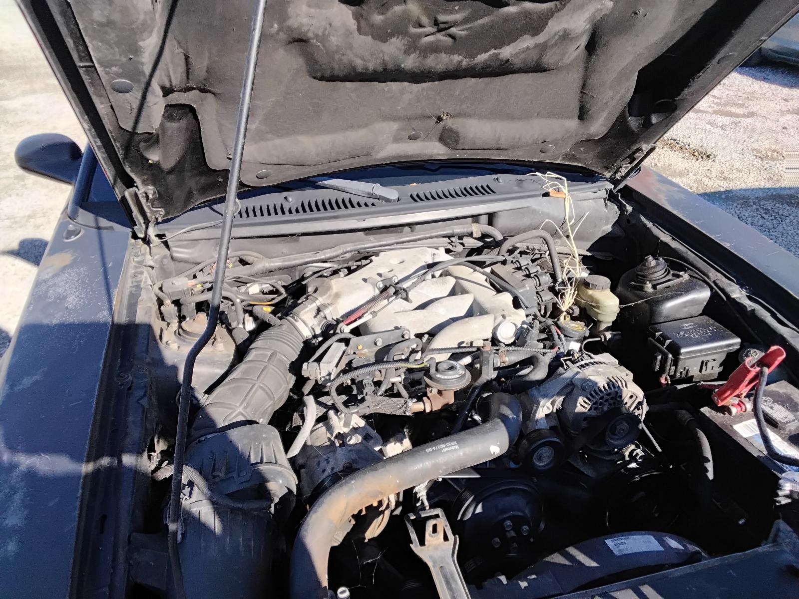 2000 FORD MUSTANG - Pick N Save