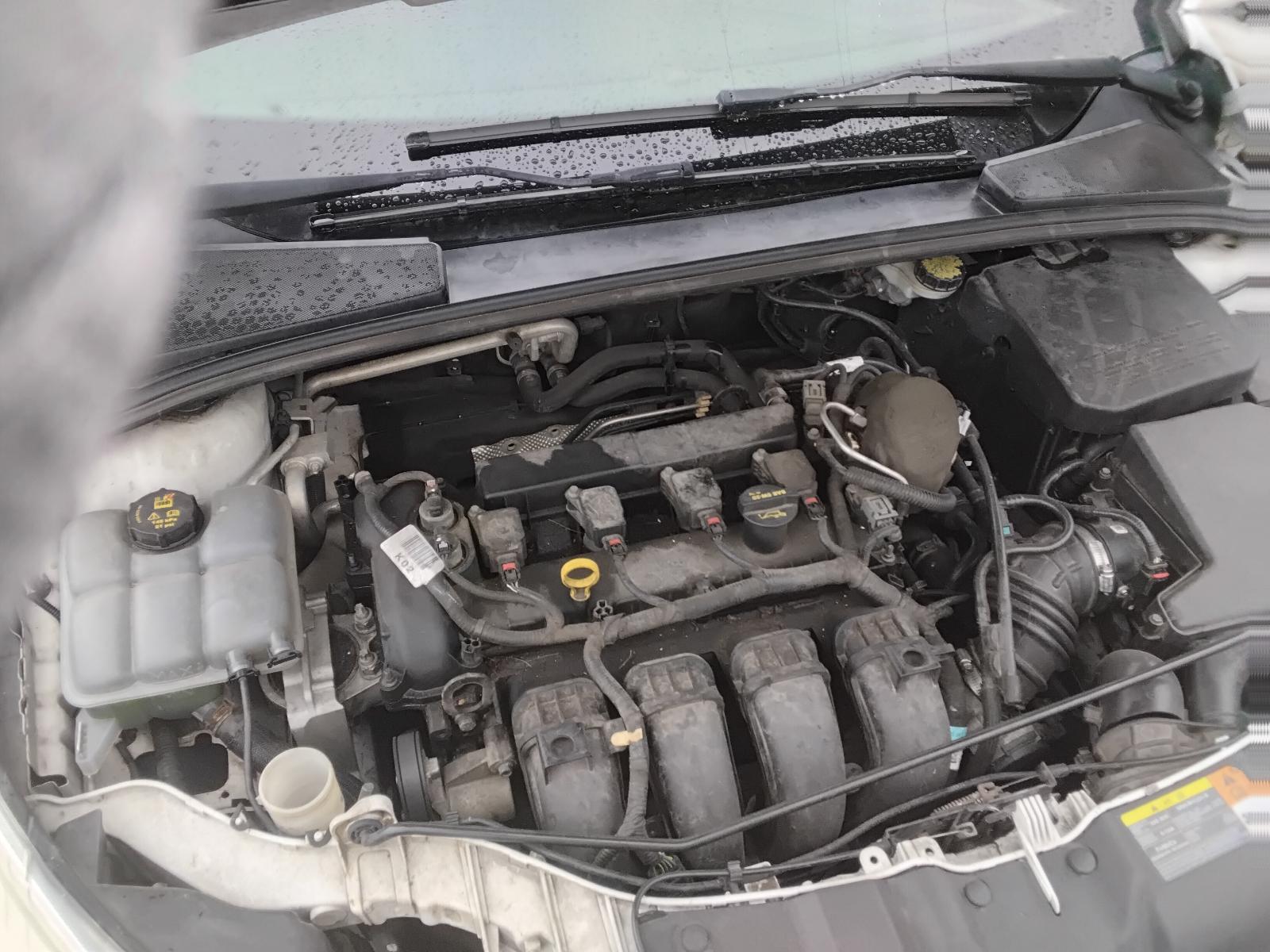 New Daily Inventory - Pick N Save